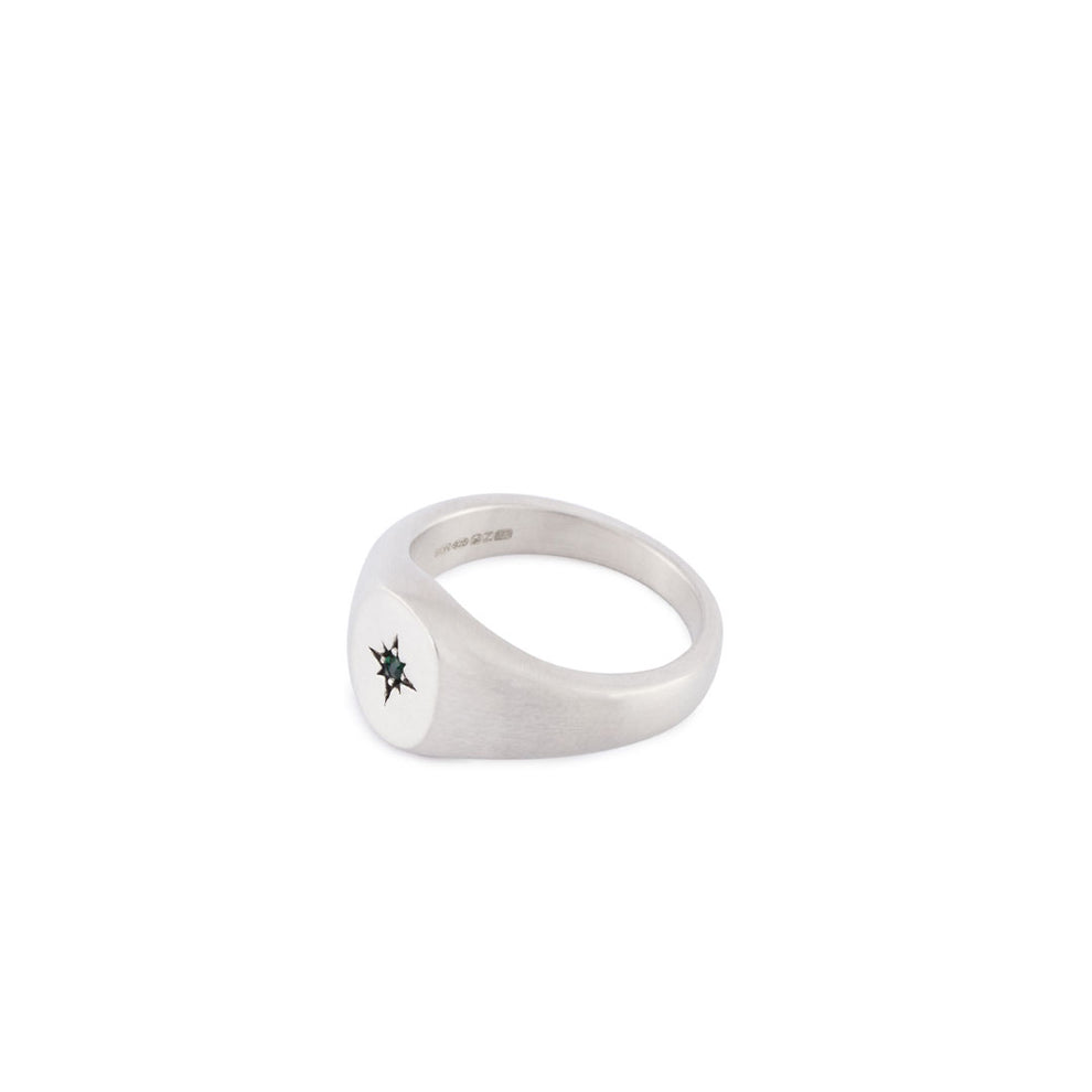 Silver Envy Signet Ring | Men’s 925 Sterling Silver | Serge DeNimes ...