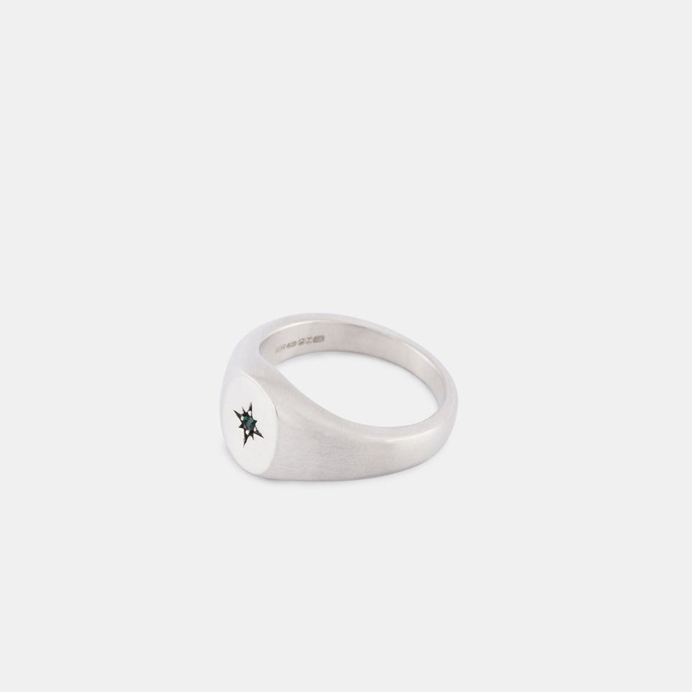 Silver Envy Signet Ring – SergeDeNimes US