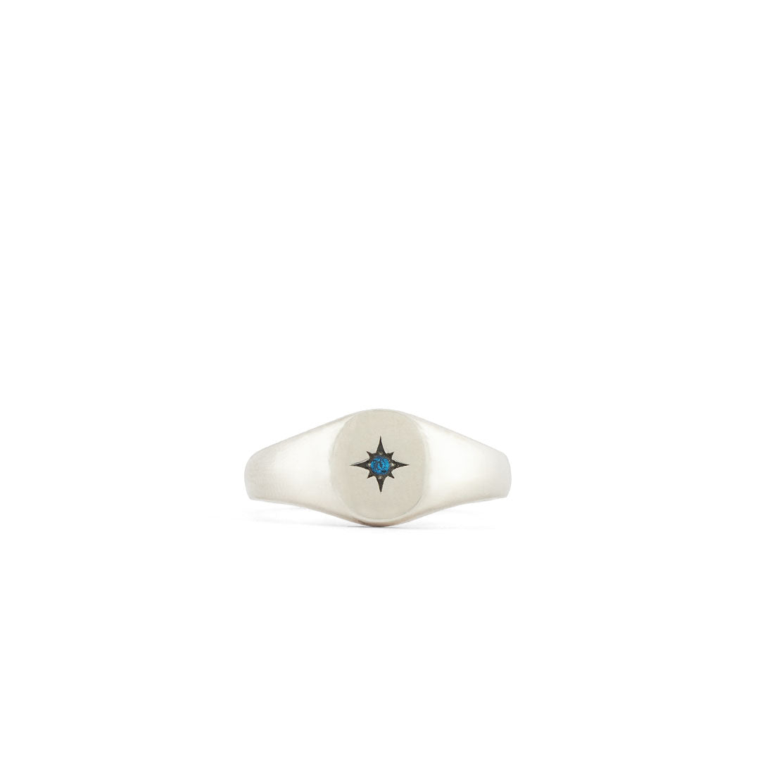 Silver Royal Envy Ring – SergeDeNimes US